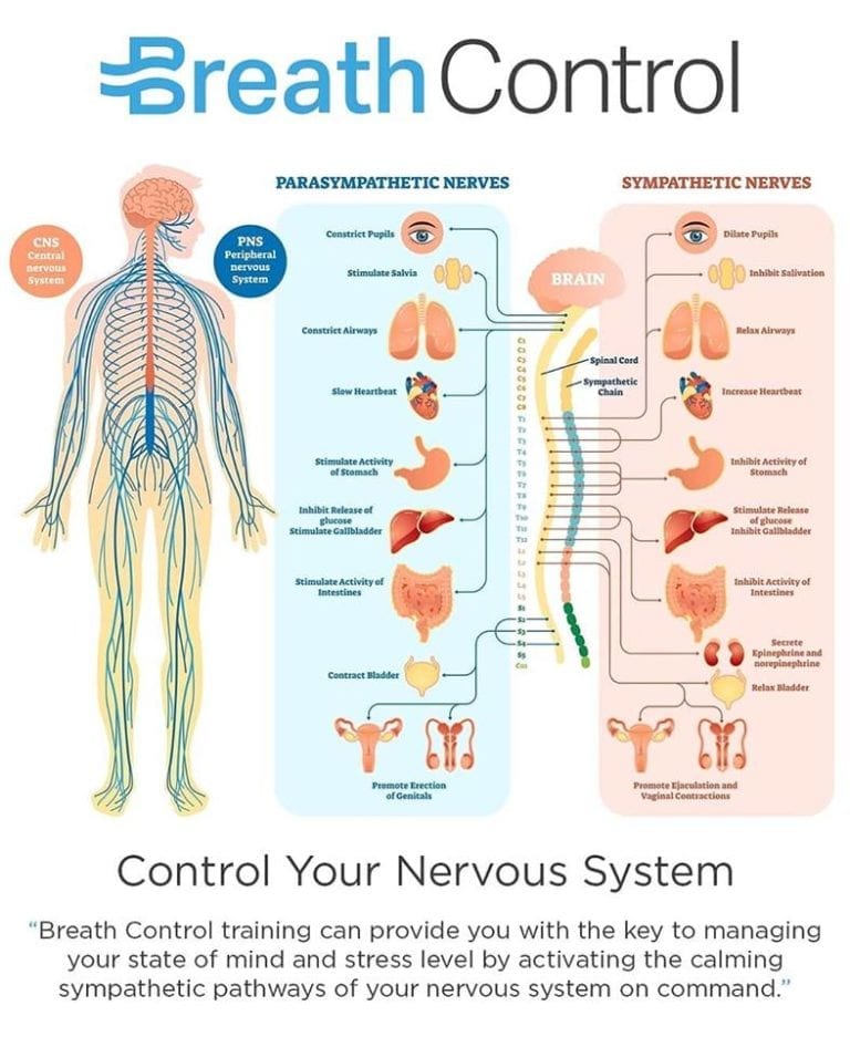 Control your Nervous System to Regulate Emotions - Breath Control